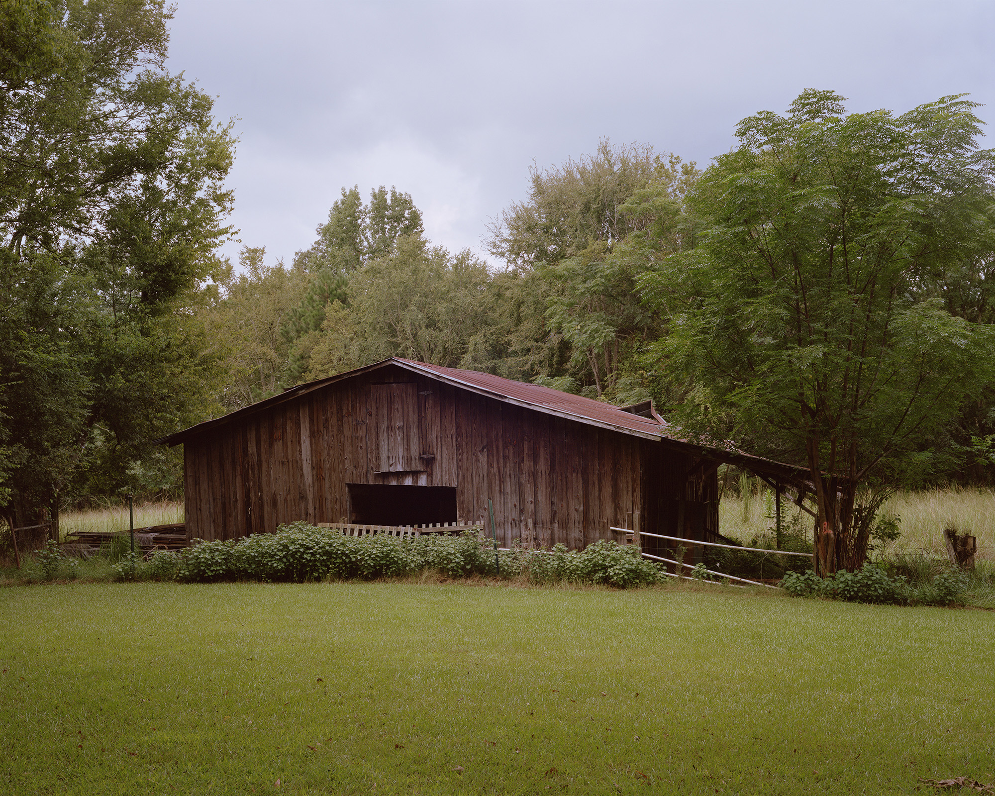 Tema Stauffer: Southern Fiction - Tennessee Arts Commission