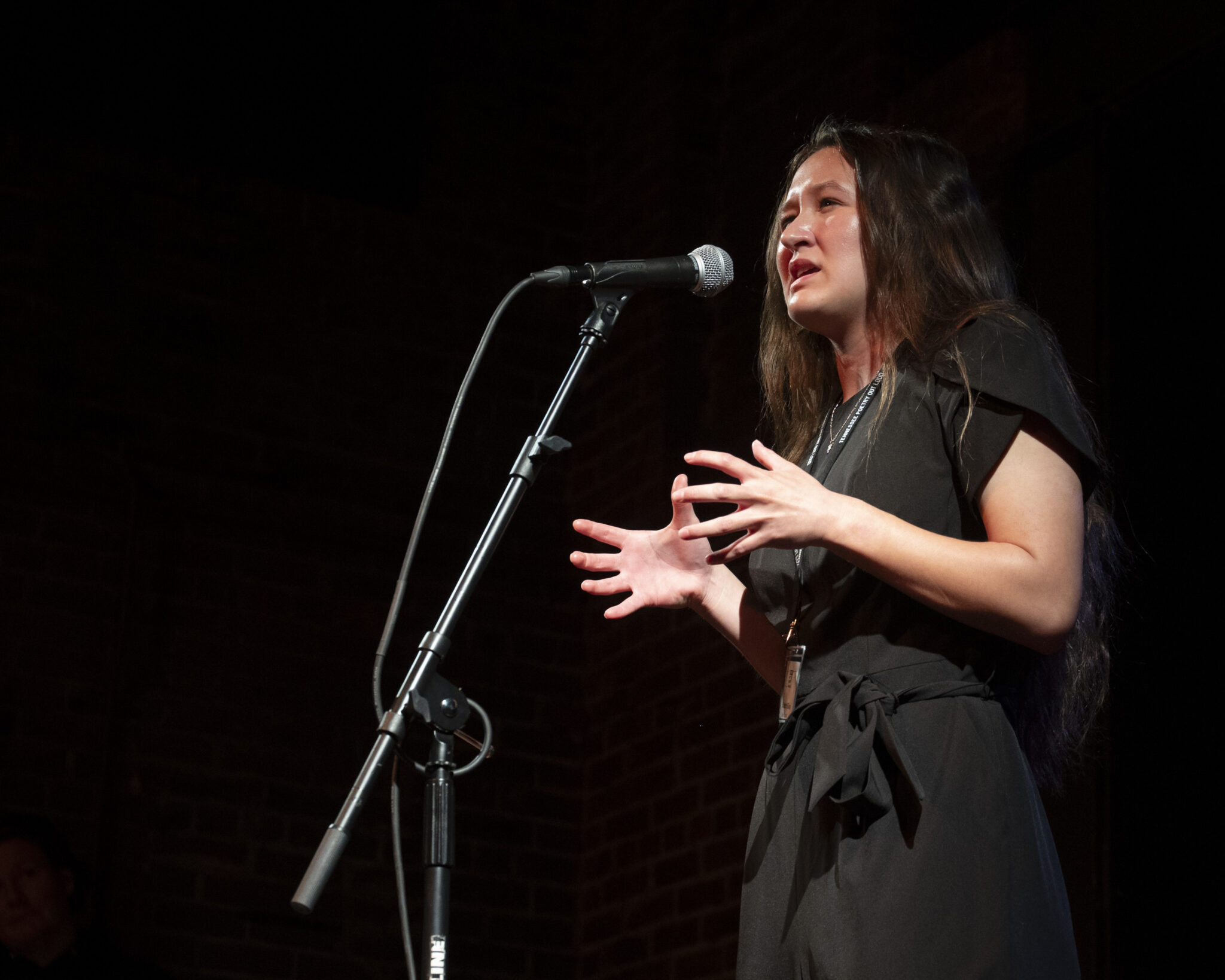 East TN Student Elizabeth Silva Wins 2025 Tennessee Poetry Out Loud ...